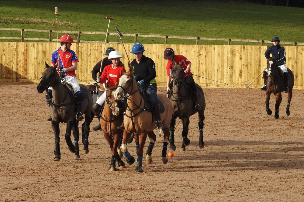 Learn To Play – Dorset Polo Club